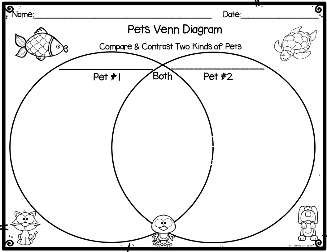 Pets Children's Books With Literacy Extension Ideas