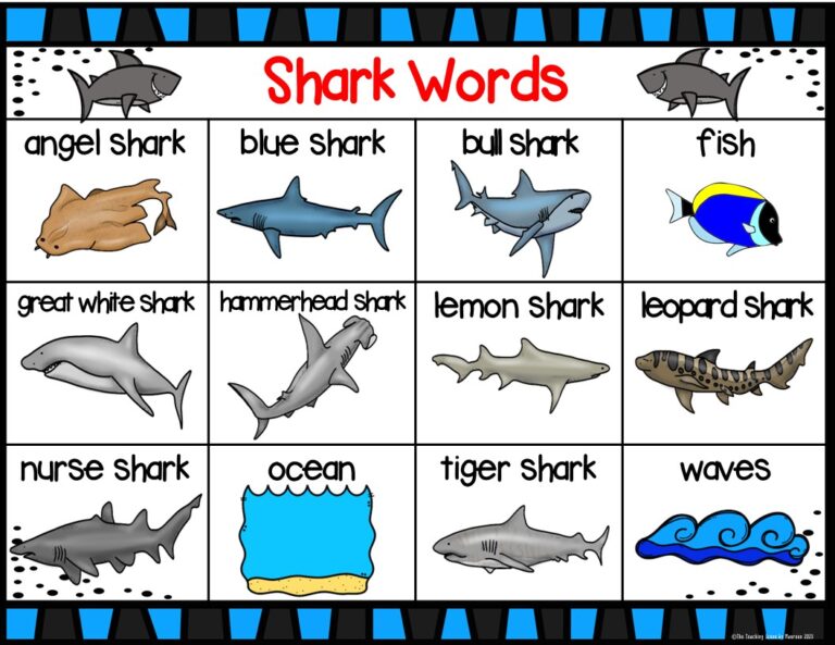 Sharks Children's Books With Literacy Extension Ideas