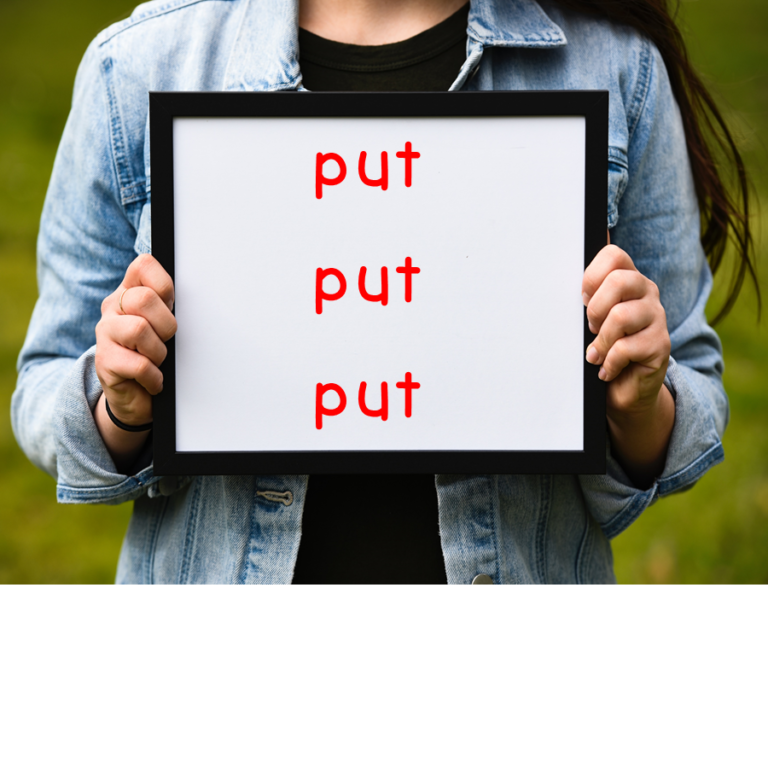 Teaching Pesky Irregular Spelled Sight Words