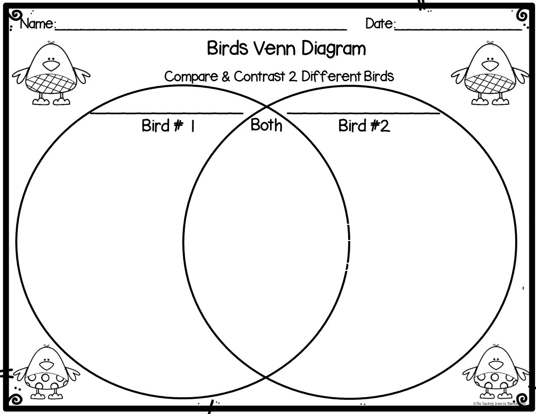 Birds Children's Books With Literacy Extension Ideas